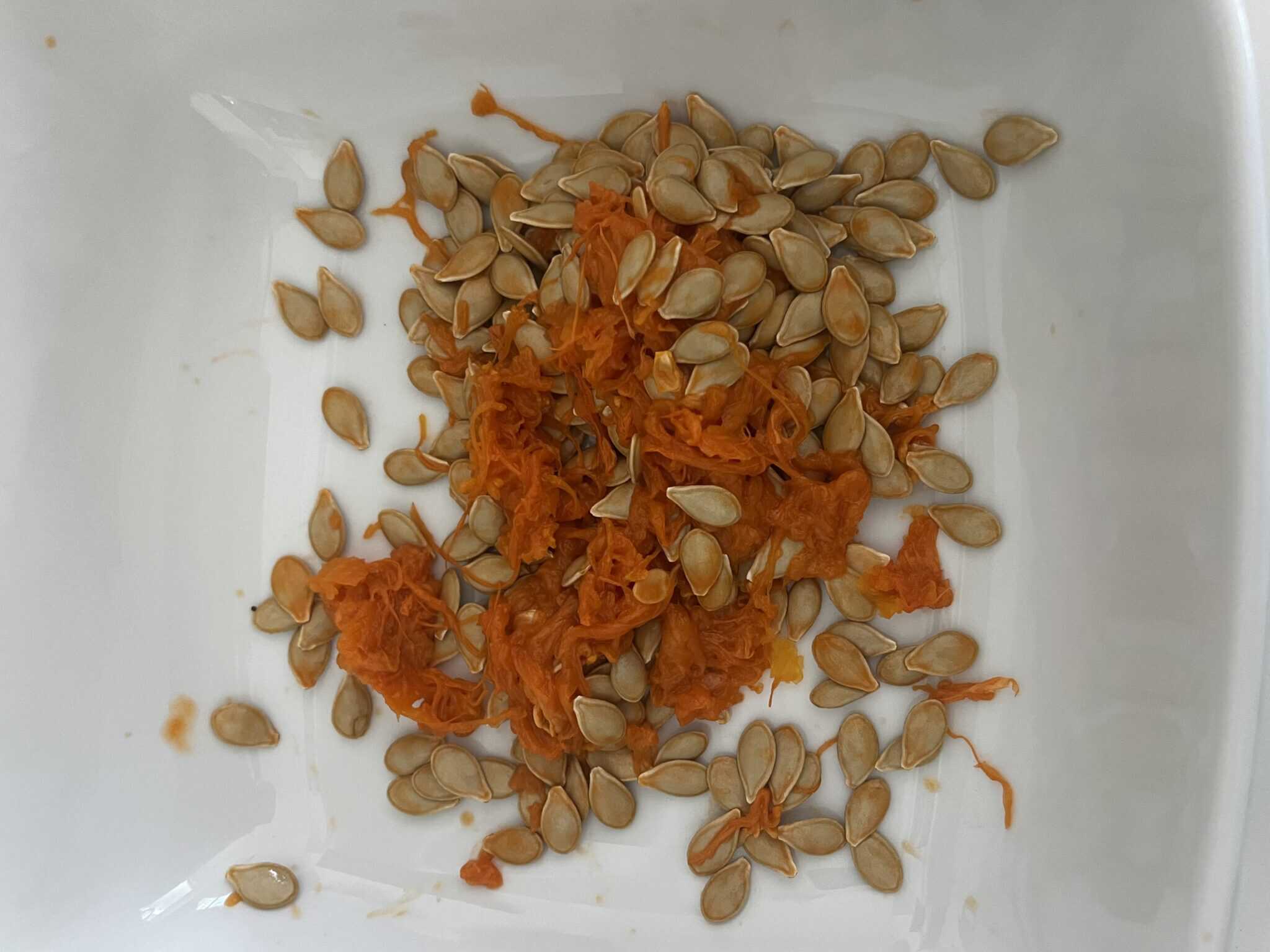Roasted Butternut Squash Seeds - Simply Made Dish